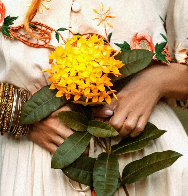 Womb Wisdom - Magdalena Maria